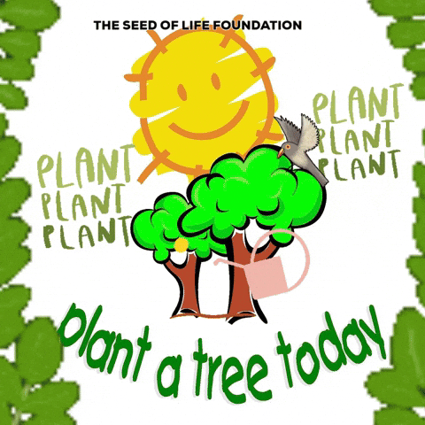 Plant-a-tree-today GIFs - Get the best GIF on GIPHY
