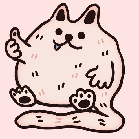 Happy Cool Cat GIF by Kinda Great - Find & Share on GIPHY