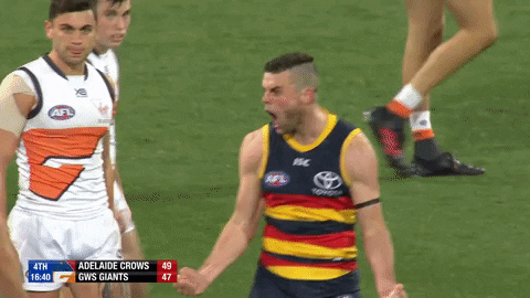 Round 12 Afl GIF by Adelaide Crows - Find & Share on GIPHY