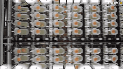 Eggs Factor GIFs - Get the best GIF on GIPHY