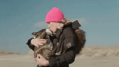 Mv-247 GIFs - Get the best GIF on GIPHY