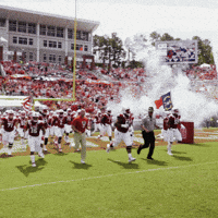 Nc State Wolfpack GIF by NC State Athletics - Find & Share on GIPHY