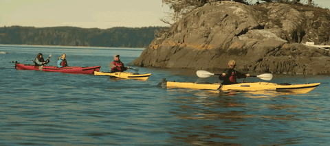 Kayaking GIFs - Find & Share on GIPHY