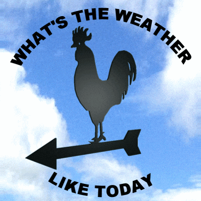 Wind-vane GIFs - Get the best GIF on GIPHY