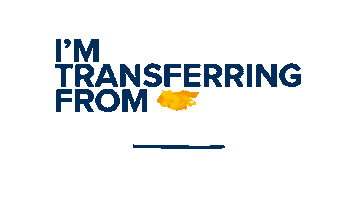 Transfer GIFs on GIPHY - Be Animated