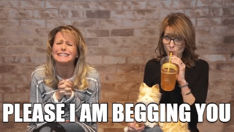 Begging You Please GIF by Chicks on the Right - Find & Share on GIPHY
