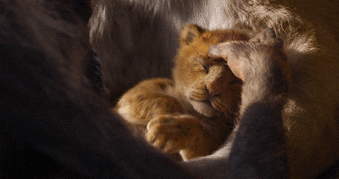The Lion King Simba GIF by Walt Disney Studios - Find & Share on GIPHY