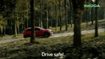 Drive Safe GIFs - Find & Share on GIPHY