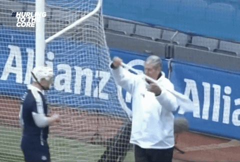 Bord Gais Hurling GIF by Bord Gáis Energy - Find & Share on GIPHY