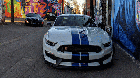 Gt350 GIFs - Get the best GIF on GIPHY