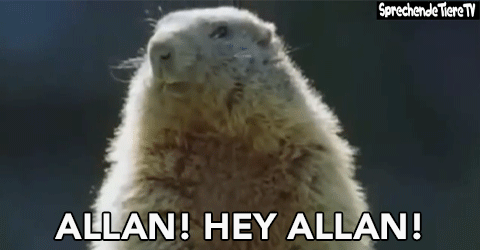 Talking Animals Wildlife GIF by The official GIPHY Page for Davis ...