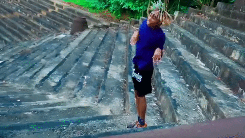 Feign GIFs - Get the best GIF on GIPHY