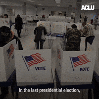The-poll GIFs - Get the best GIF on GIPHY