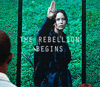 Katniss Salute Gif