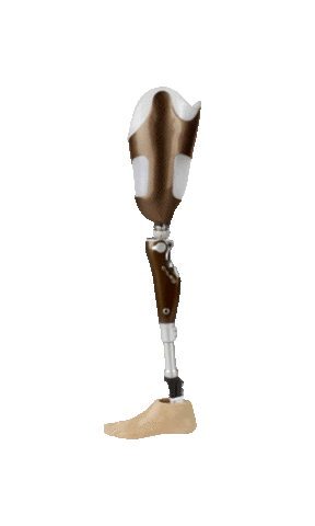 CIDOP ortopedia GIFs on GIPHY - Be Animated