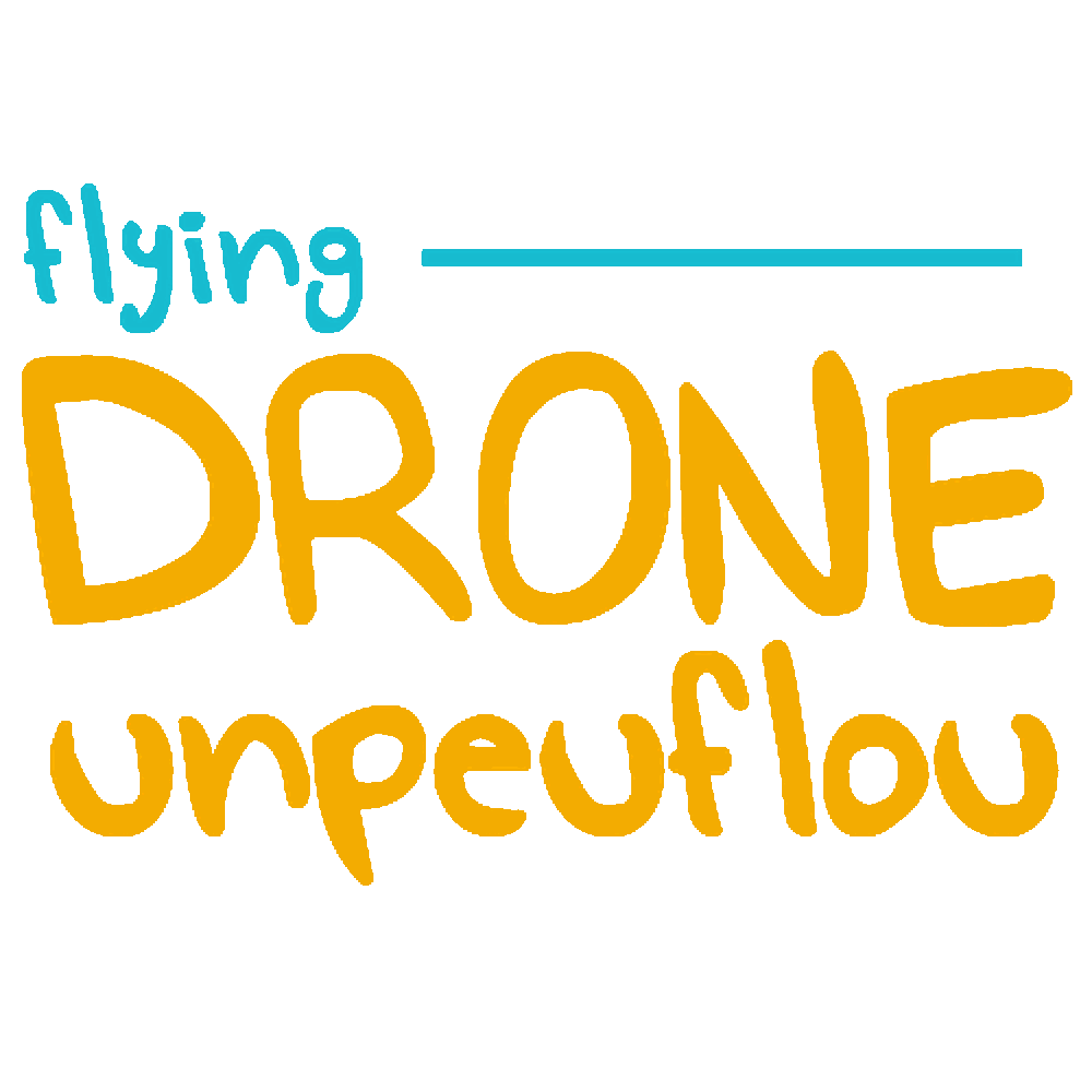 Text Flying Sticker by unpeuflou for iOS & Android | GIPHY