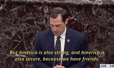 Impeachment Trial GIF - Find & Share on GIPHY