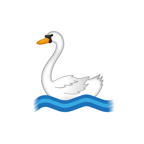 Schwan GIFs - Get the best GIF on GIPHY