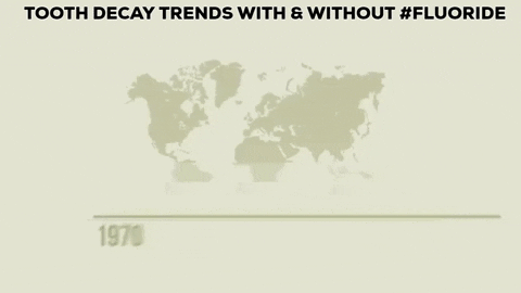 Fluoride GIFs - Get the best GIF on GIPHY