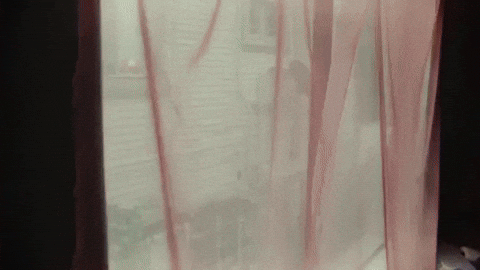 Something To Do GIFs - Get the best GIF on GIPHY