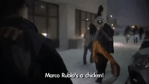 Vermin Supreme GIF by GIPHY News - Find & Share on GIPHY