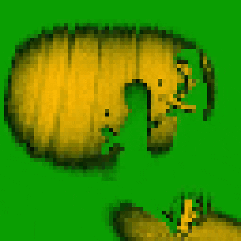 Riddles-of-the-sphinx GIFs - Get the best GIF on GIPHY