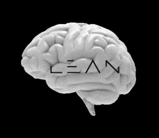 Lean agência GIFs on GIPHY - Be Animated