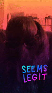 Seems Legit Gif