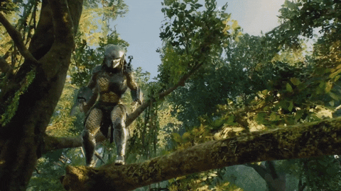 Predator Hunting Grounds GIFs - Find & Share on GIPHY
