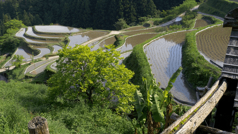 terraces | Tag | PrimoGIF