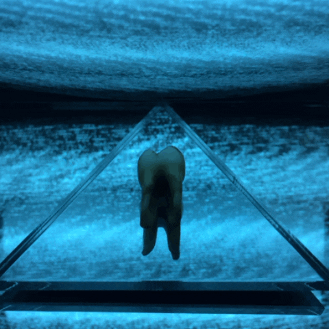 Monkey Teeth GIFs - Get the best GIF on GIPHY