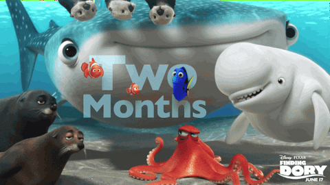 Hank-the-octopus GIFs - Get the best GIF on GIPHY