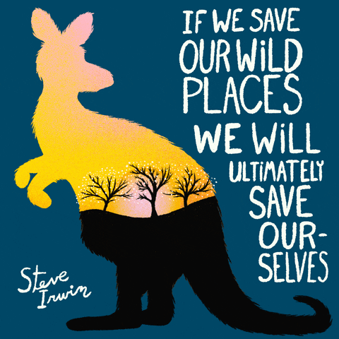 Keep Habitats Thriving by INTO ACTION | GIPHY