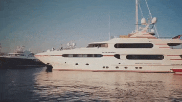 Florida GIFs - Find & Share on GIPHY