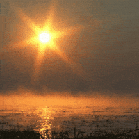 Animated Sun Rays Gif