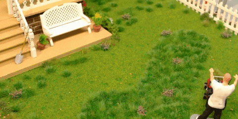 Grass Lawn GIF by GAYLE - Find & Share on GIPHY