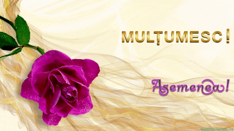Multumesc! - GIFs & Stickers by echilibrultau | GIPHY