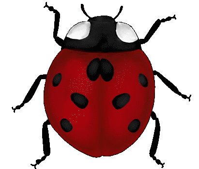 Bug Sticker for iOS & Android | GIPHY