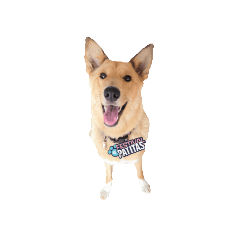 Stickers FP GIFs on GIPHY - Be Animated