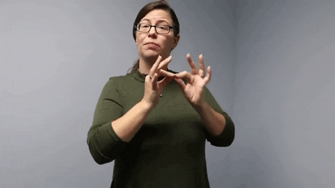Asl Interpreter GIF - Find & Share on GIPHY