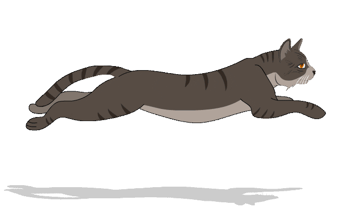 Cats GIFs on GIPHY - Be Animated