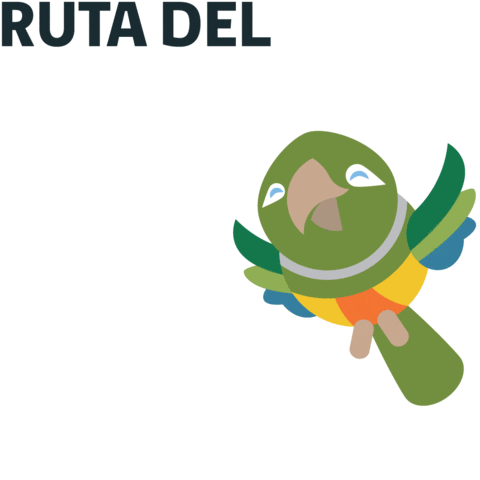 Ruta del Tricahue GIFs on GIPHY - Be Animated