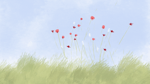 Handdrawn Flower GIFs - Get the best GIF on GIPHY