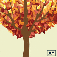 Leaves Falling Off Trees Gif