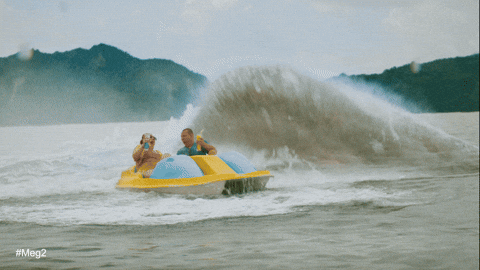 Meg-cionni GIFs - Get the best GIF on GIPHY