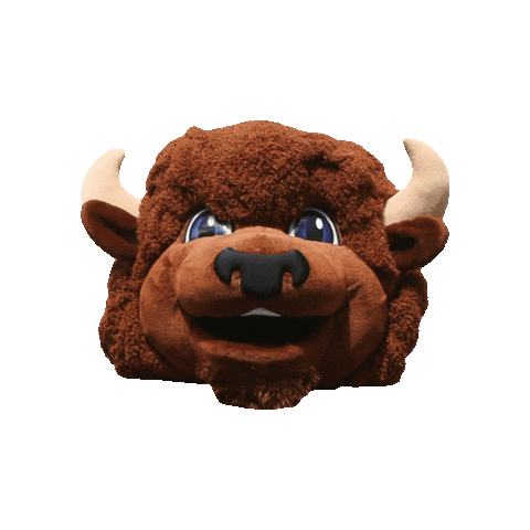 Bucky GIFs on GIPHY - Be Animated