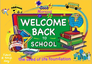 Donate-fun GIFs - Get the best GIF on GIPHY