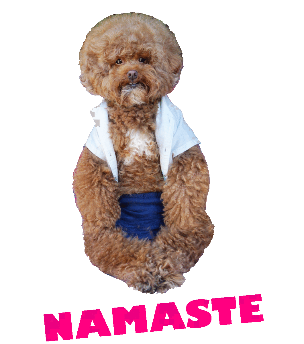 Dog Breathe Sticker for iOS & Android | GIPHY