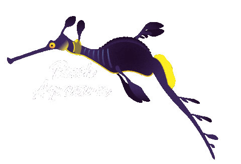 Sea Creatures GIFs on GIPHY - Be Animated