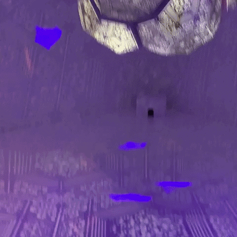 Gma GIF by Good Morning America - Find & Share on GIPHY